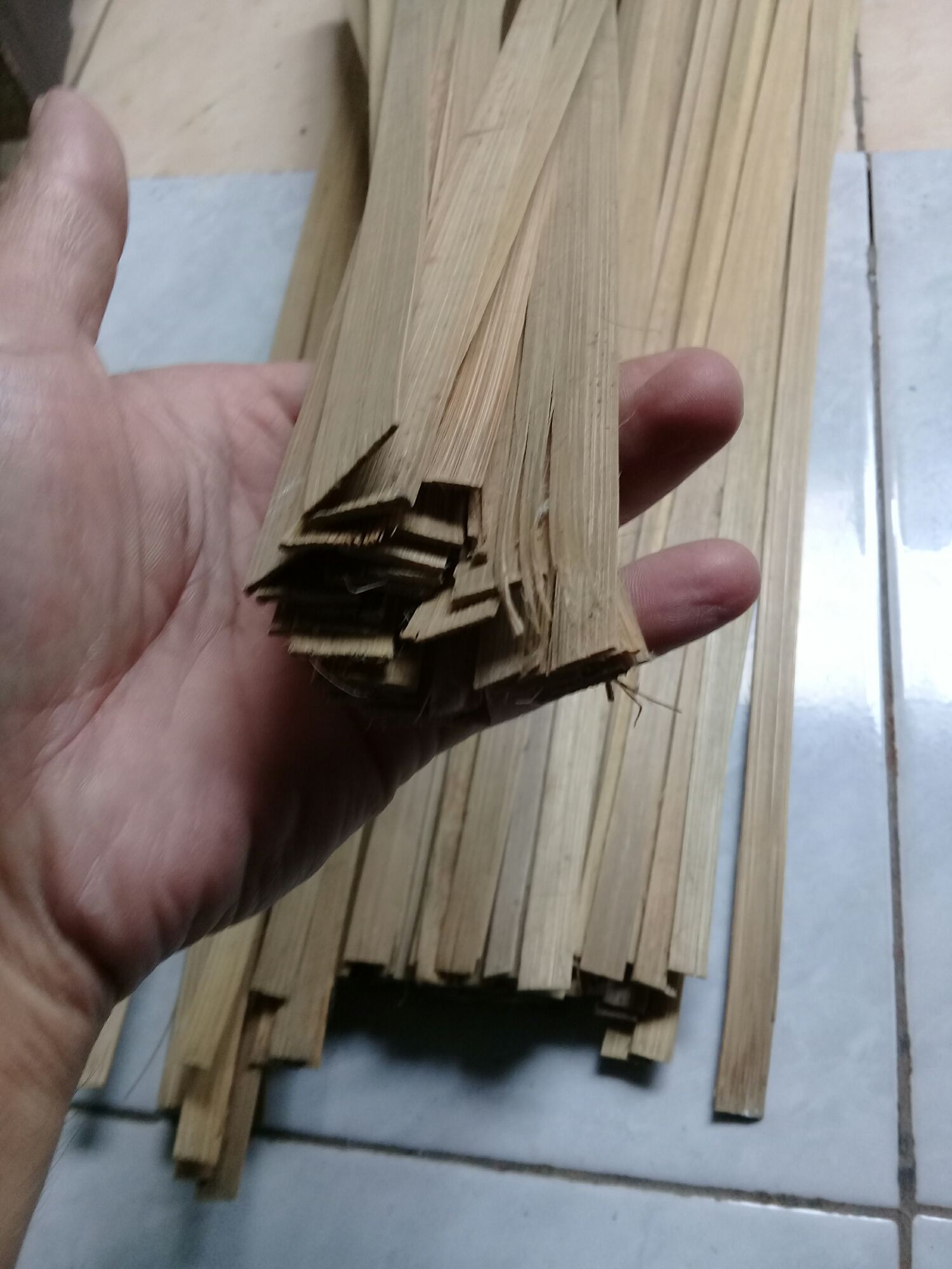 promo Belahan bambu tipis 50 lembar panjang 50 cm | Lazada Indonesia