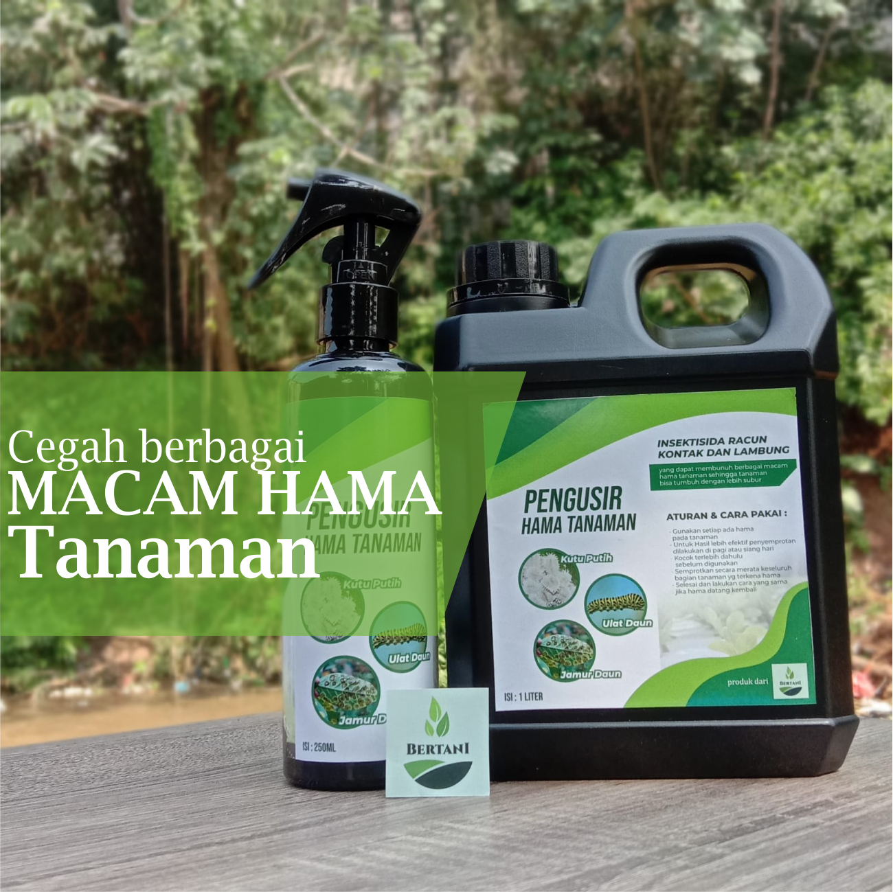 Obat Hama Tanaman Daun dan Buah | Obat Semprot Hama Daun | Pestisida ...