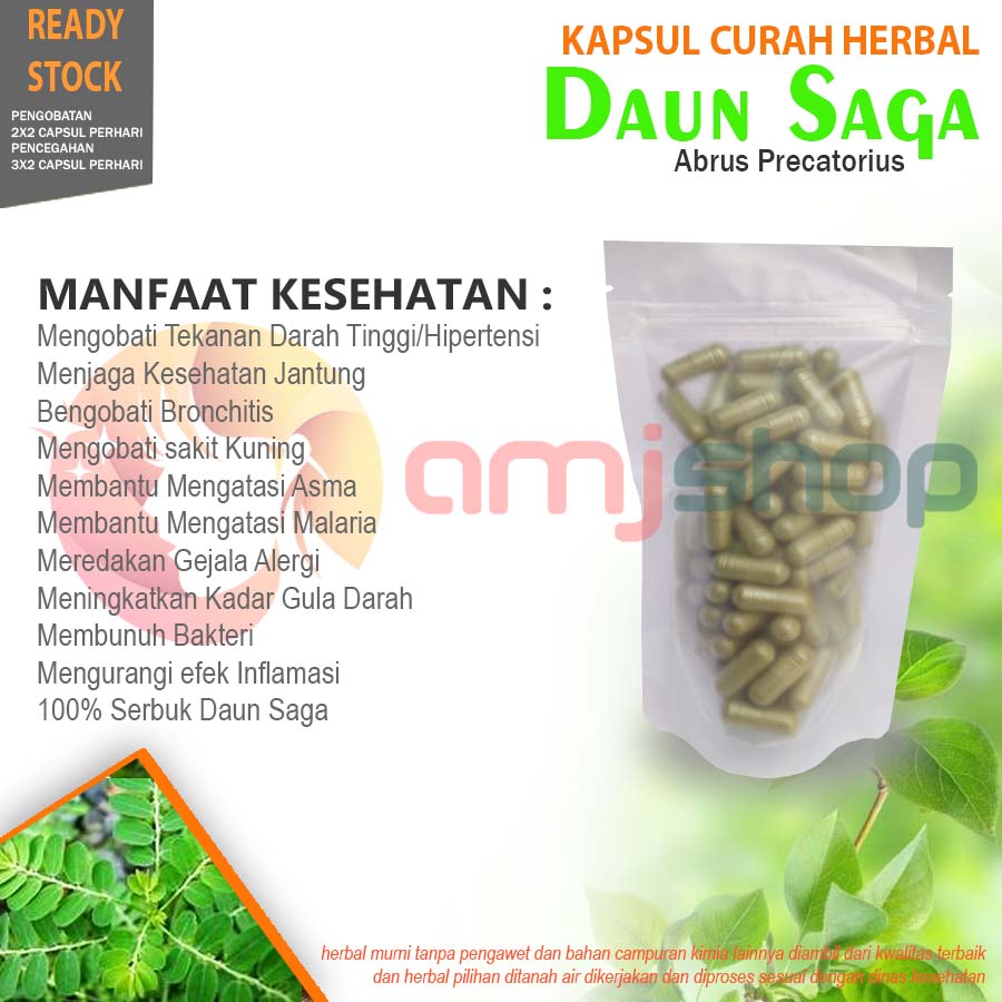 DAUN SAGA 50 Kapsul Herbal Asma Sakit Kuning Alergi Hipertensi Mata ...