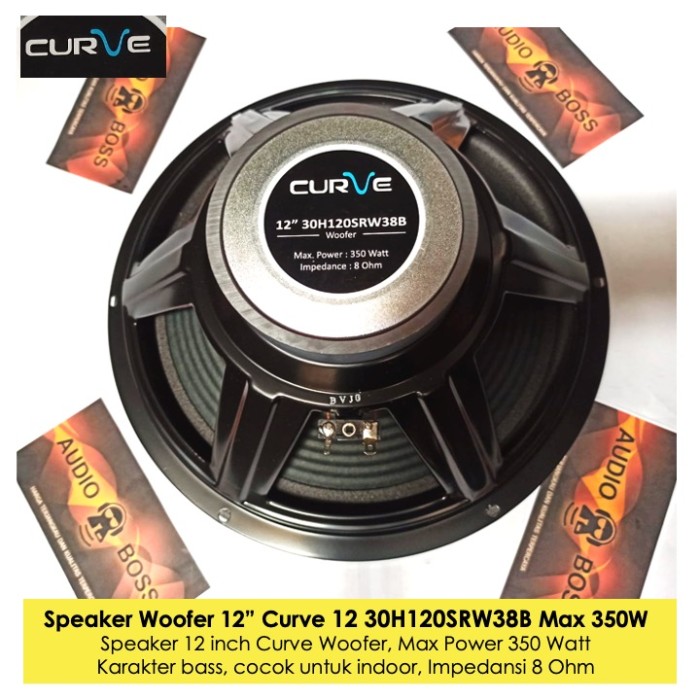 SPEAKER 12 INCH CURVE WOOFER 350 WATT - SPEAKER CURVE 12" WOOFER 350W ...