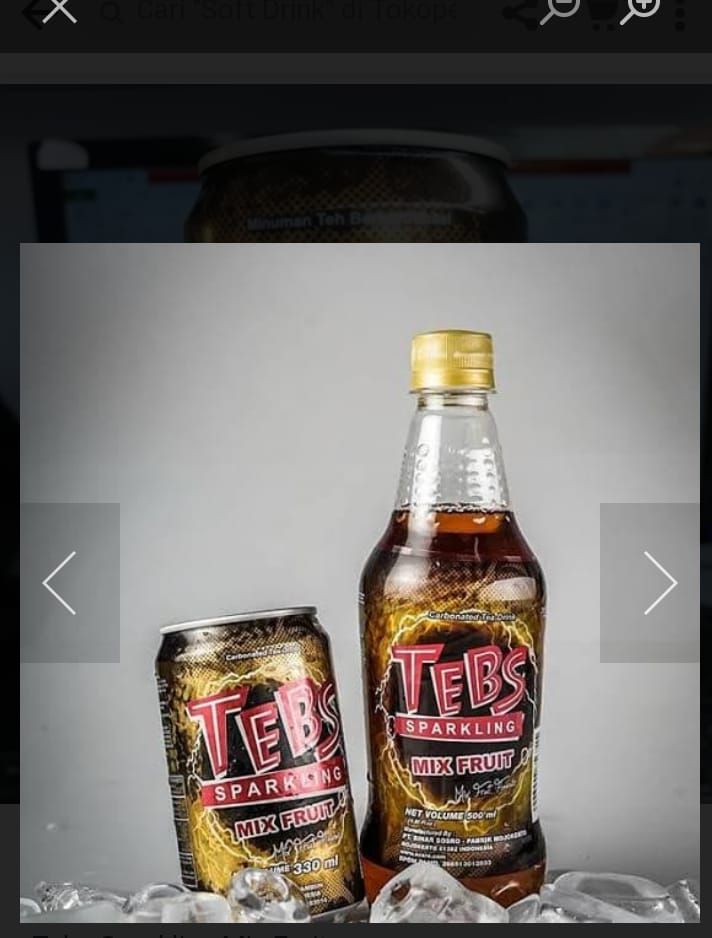 TEBS Botol Pet 500ml ( isi 24 pcs) | Lazada Indonesia