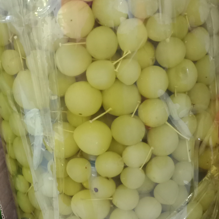 Manisan Asinan Anggur Bogor 250gr | Lazada Indonesia