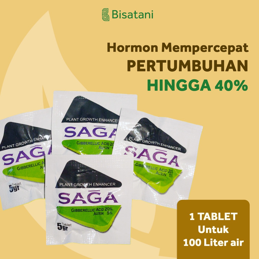 SAGA Tablet ZPT untuk Mempercepat Pertumbuhan Tanaman Hingga 40% ...