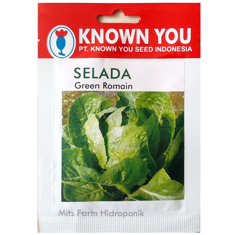 Benih Selada Green Romaine - Known You Seed | Lazada Indonesia