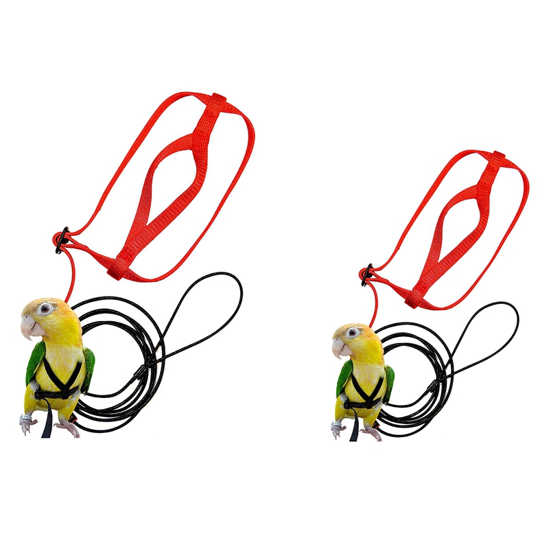 Pet Parrot Traction Strap Outdoor Rope Pet Leash Adjustable Bird ...