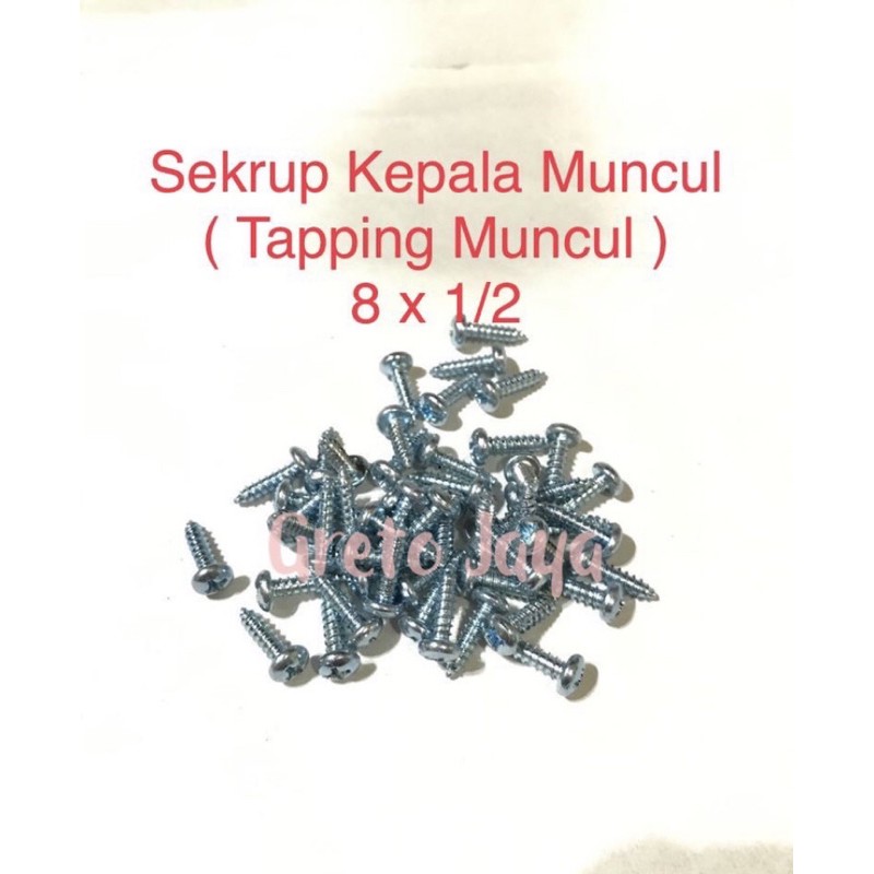 ( 8x1/2 100bj ) Sekrup Muncul 8 x 1/2 Kepala Bulat Taping Skrup PH ...