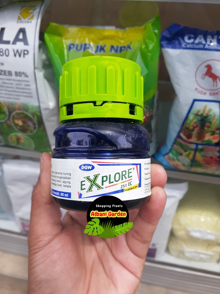 Fungisida explore 250EC 250 ml / 80 ml Original DGW | Lazada Indonesia