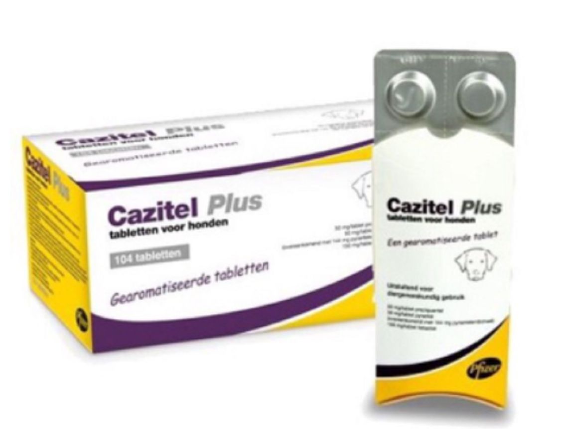 Cazitel Plus for Dogs / Obat Cacing Anjing (Ecer 1 Tablet) | Lazada ...