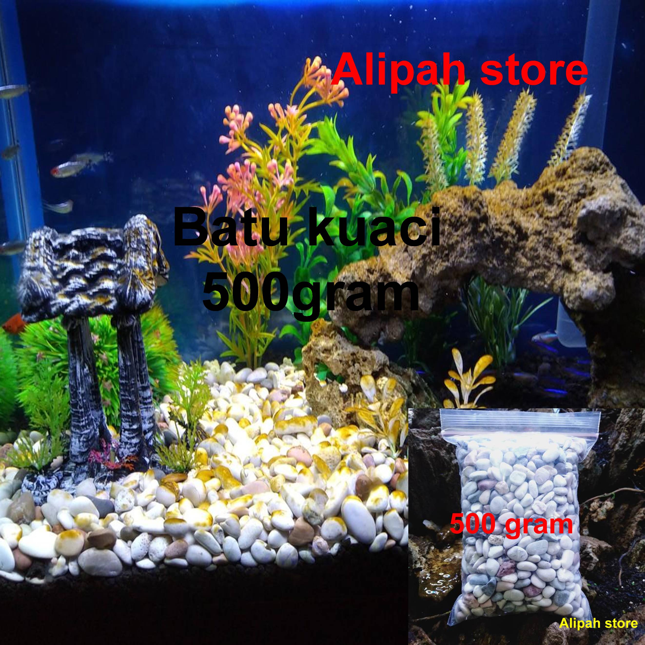 batu koaci/pancawarna untuk aquarium dan taman kering | Lazada Indonesia