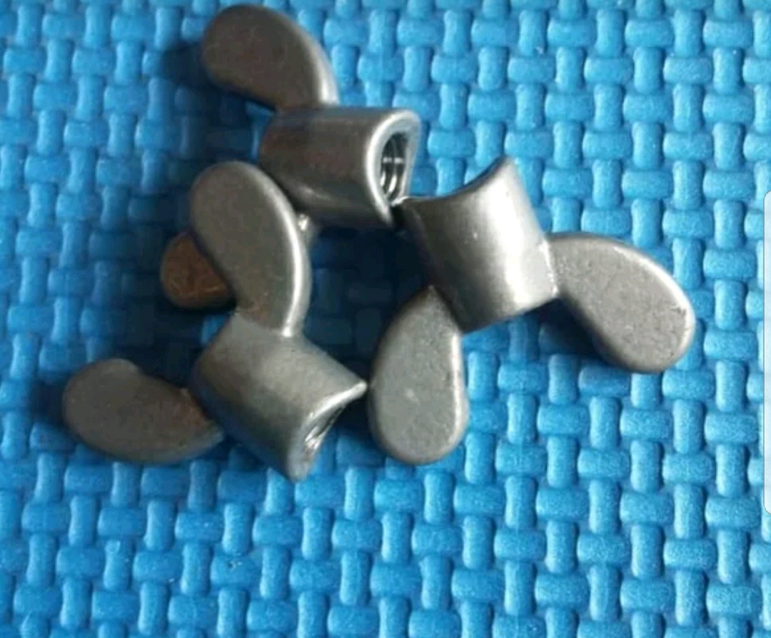 Mur Kupu Kupu 6mm @ 5pcs | Lazada Indonesia