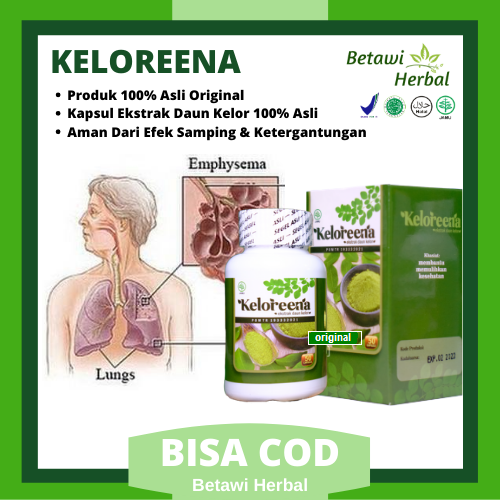 Obat Emfisema Herbal - Flu (Influenza), Faringitis, Laringitis, Asma ...