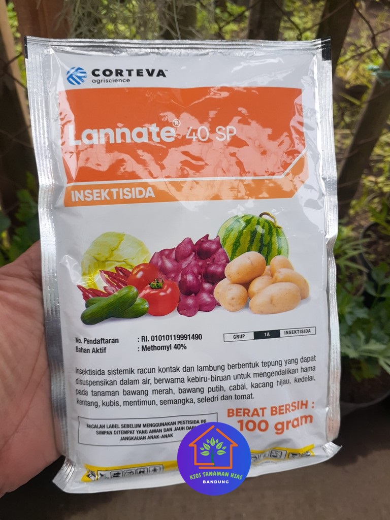 COD Lannate 40 sp Original Corteva 100 Gram insektisida ulat paling ...