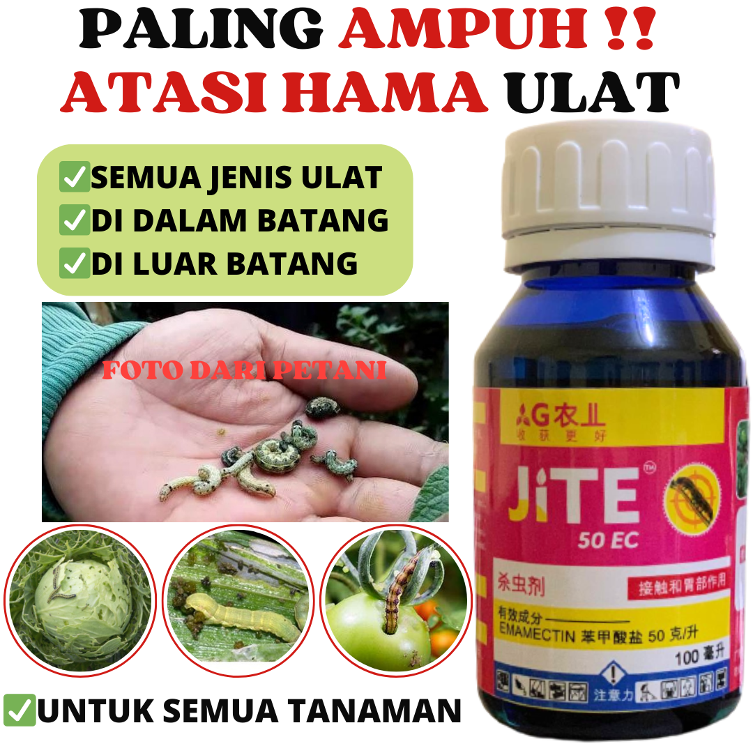 Insektisida Sistemik Racun Obat Pembasmi Hama Ulat Ulat Grayak Sundep ...
