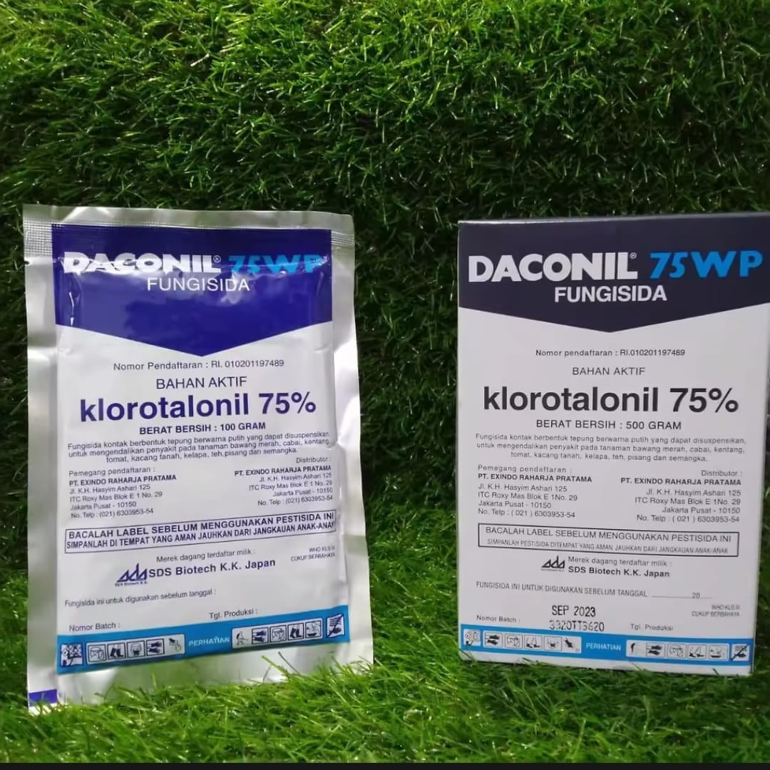 Daconil 100 gram & 500 Gram Kloratolonil 75WP Fungisida Busuk Batang Daun Akar | Lazada Indonesia