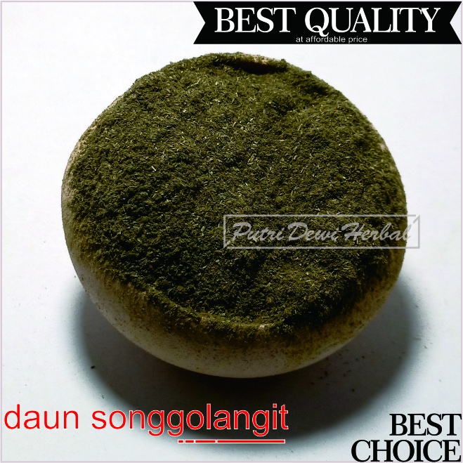 Daun Songgolangit Bubuk 250 Gram - Tridax procumbens L. Gletang Serbuk ...