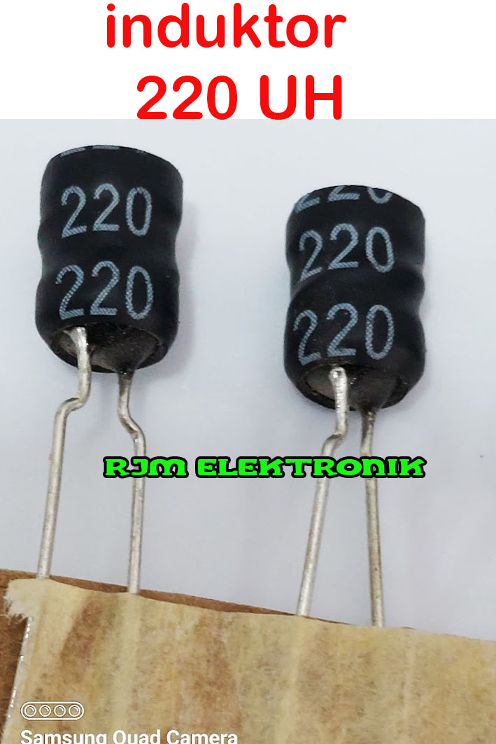 10 pcs induktor 220 UH | Lazada Indonesia