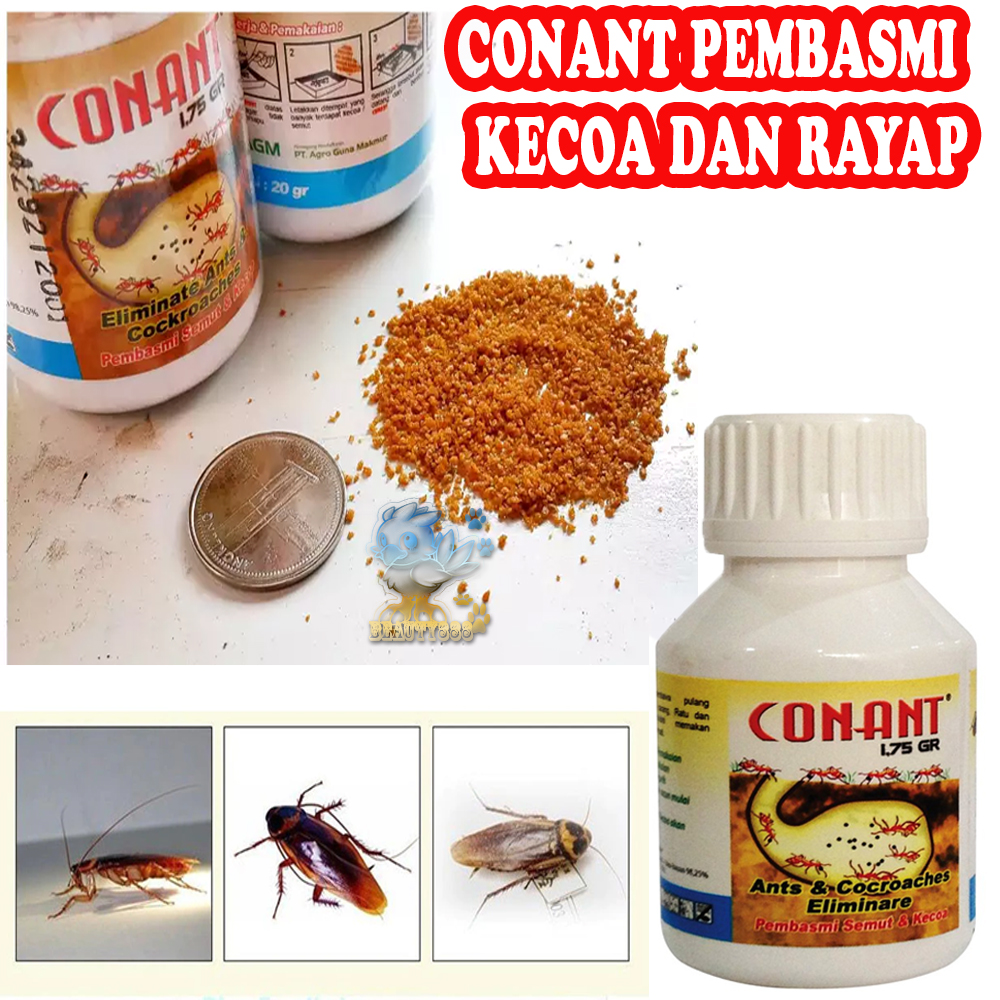 Beauty Conant 20 Gram Racun Pembasmi Semut Pembasmi Kecoa Obat Pembasmi ...