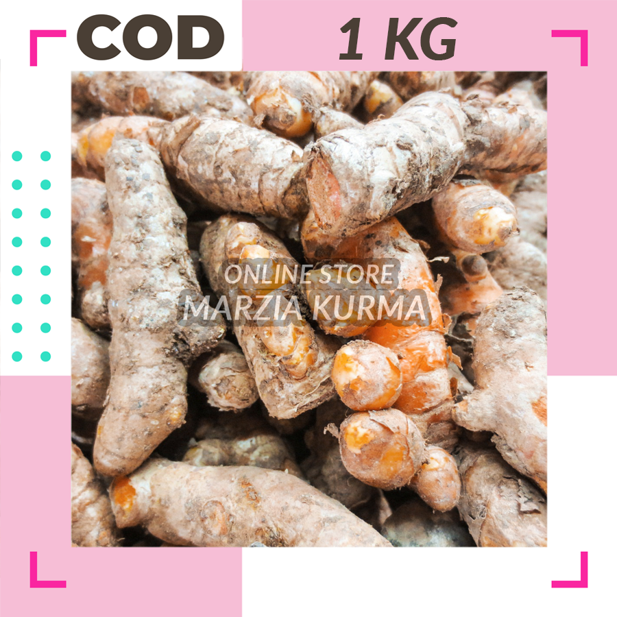 Kunyit atau Kunir Segar dan Basah 1kg Grade A | Lazada Indonesia