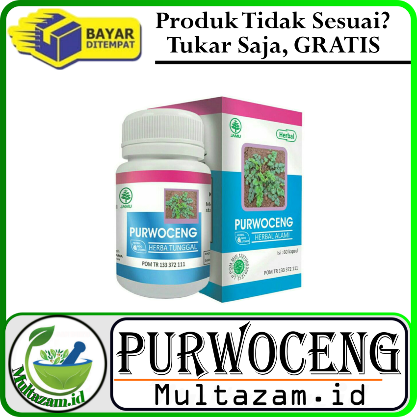 ( MULTAZAM.ID ) Obat Herbal Purwoceng HIU 60 Kapsul | Kapsul Herbal ...