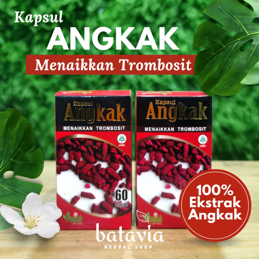 Kapsul Angkak Ekstrak Beras Merah Red Yeast Rice Angkak Trombosit DBD ...