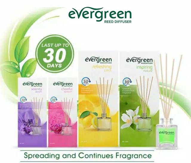 Evergreen Reed Diffuser Series 30ml Set / Refill | Pengharum Ruangan ...