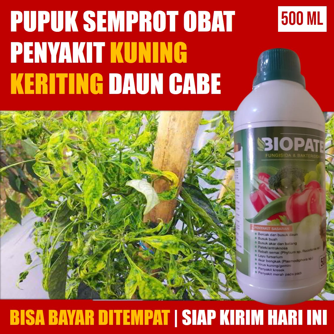 BIOPATEK 500 ML - Pupuk Fungisida Kalsium Cabe dan Tomat Atasi Virus Penyakit Hama Kuning Daun ...