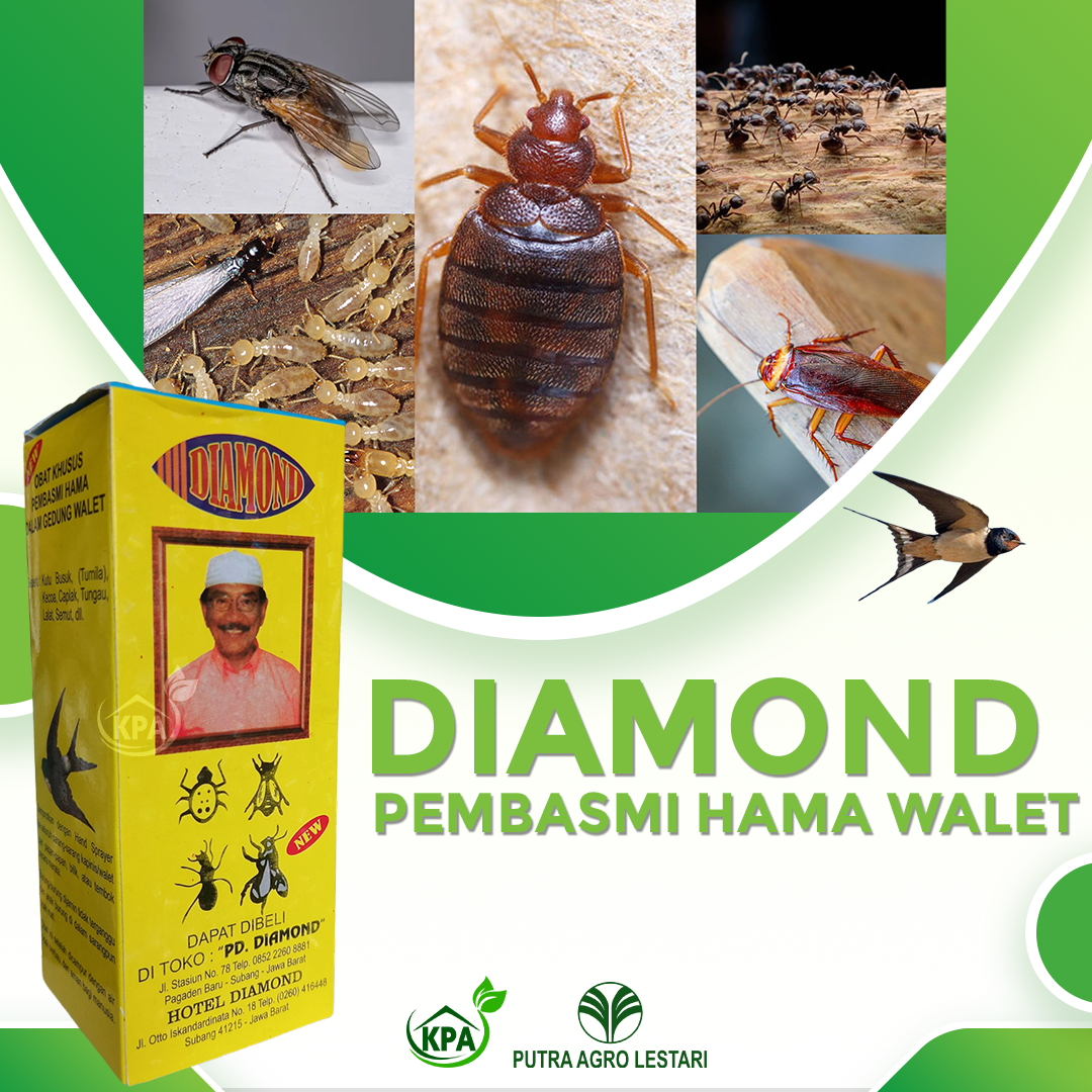 Obat Pembasmi Hama Burung Walet Paling Manjur - Diamond Wallet | Lazada ...