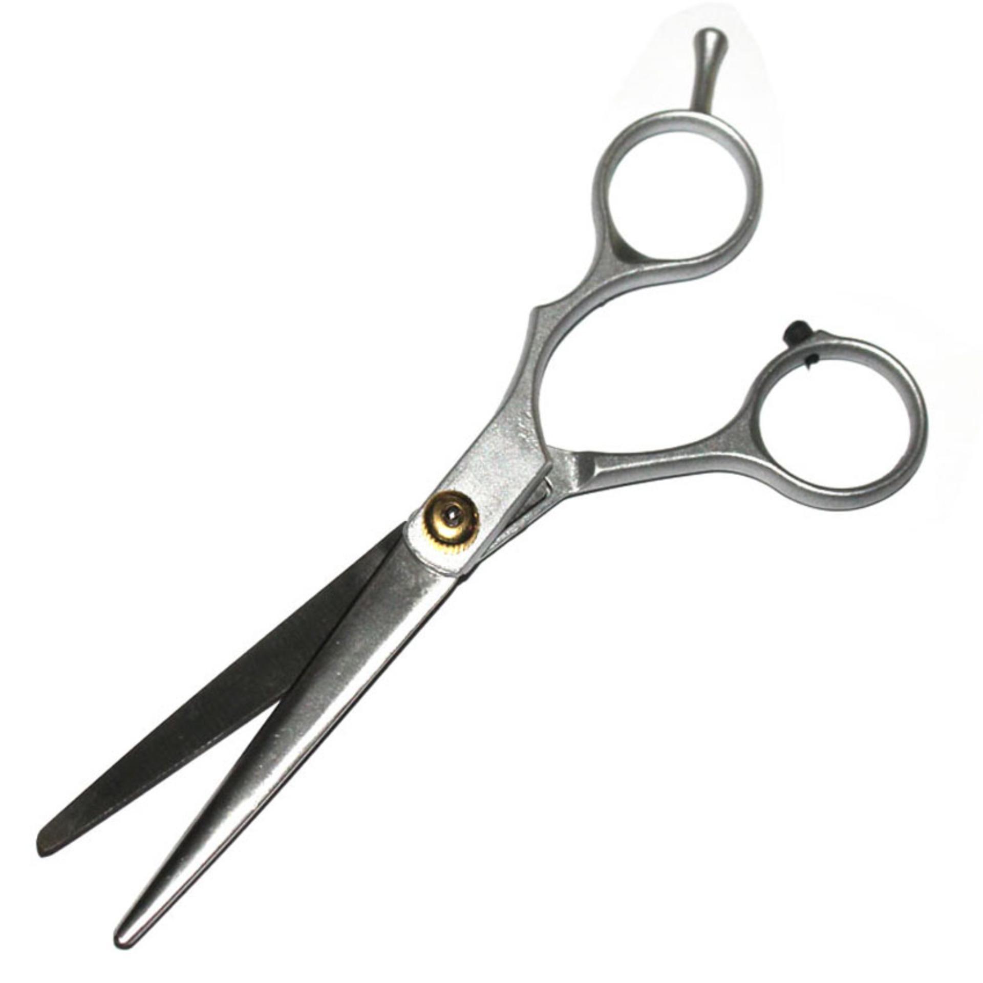 Gunting Lurus Stainless / Super Scissors - Spesial Salon | Lazada Indonesia