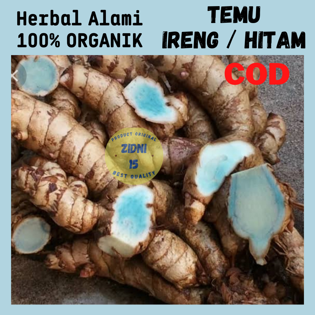 500g TEMU IRENG SEGAR BAHAN JAMU TRADISIONAL TANAMAN HERBAL ORGANIK ...