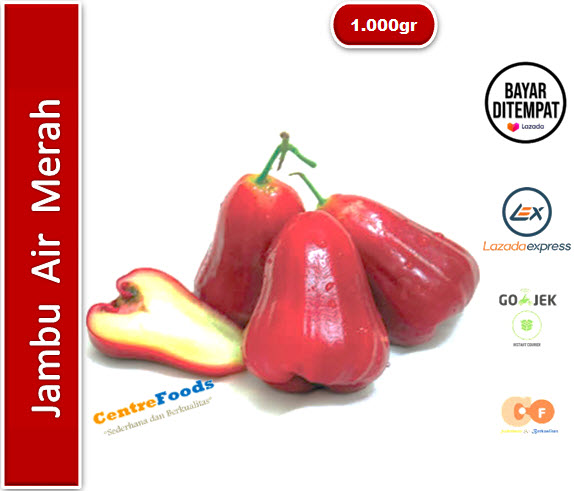 Jambu Air Fresh | Cincalo | Citra [ Harga Per KG ] | Lazada Indonesia