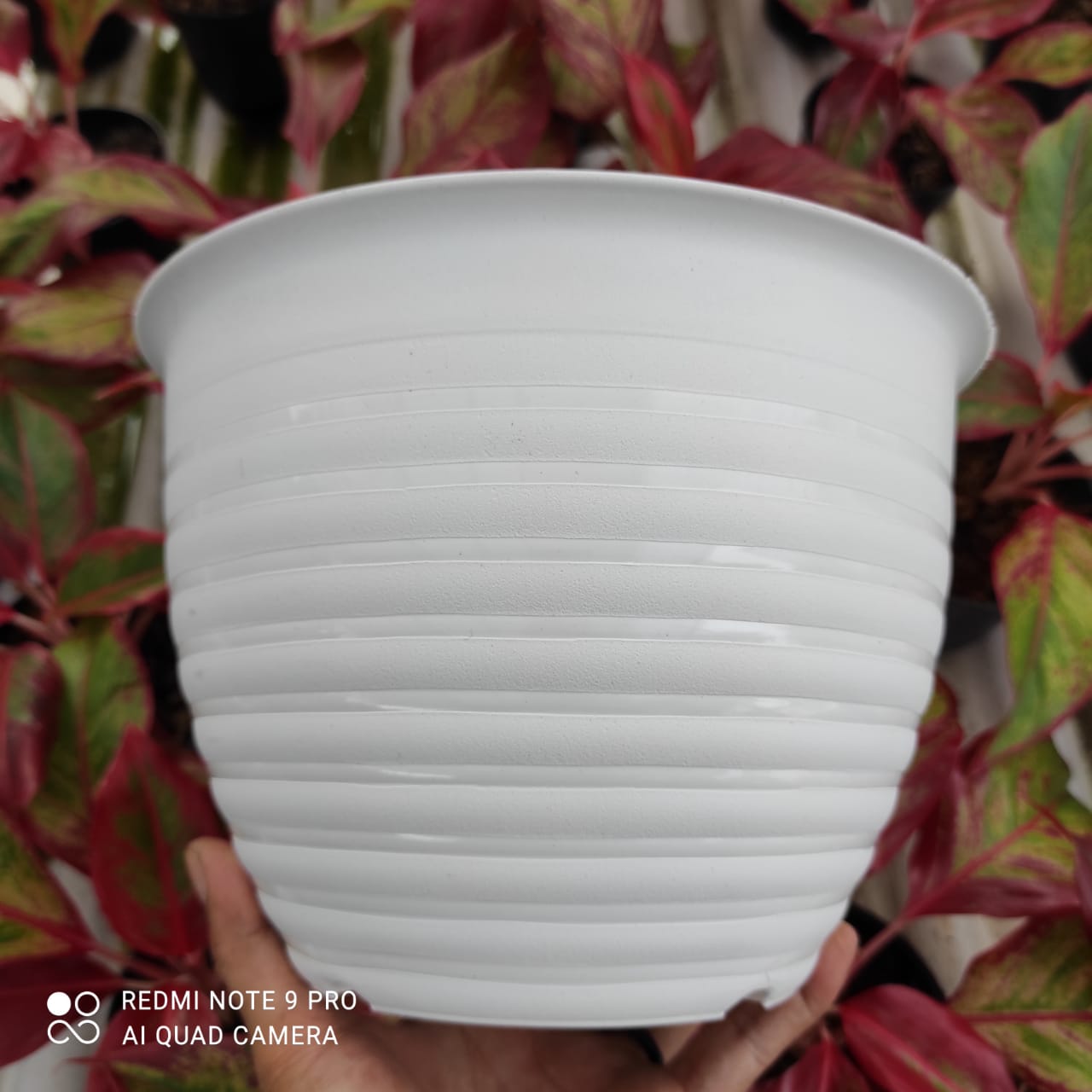 POT BUNGA PUTIH MOTIF TAWON MDN 24CM/POT PUTIH 24/POT TANAMAN HIAS /POT ...