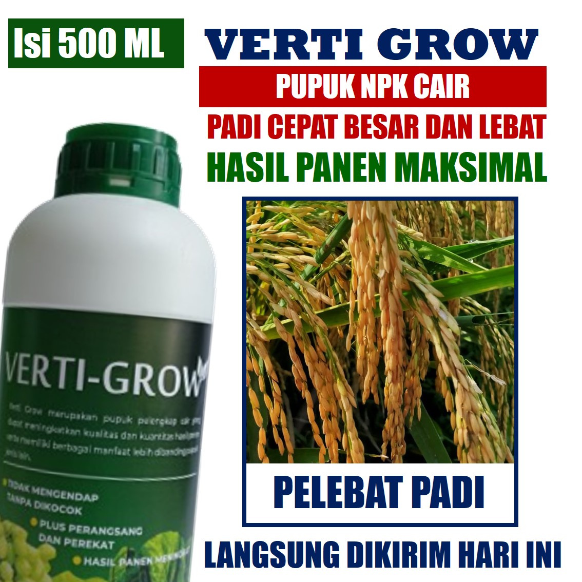 (ASLI MURAH) Obat Pelebat Padi Bobot Berat dan Besar Verti-Grow Tahan ...