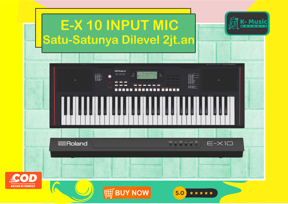 Type Arranger Keyboard Roland E-X10 EX-10 EX10 input mic voice grand ...