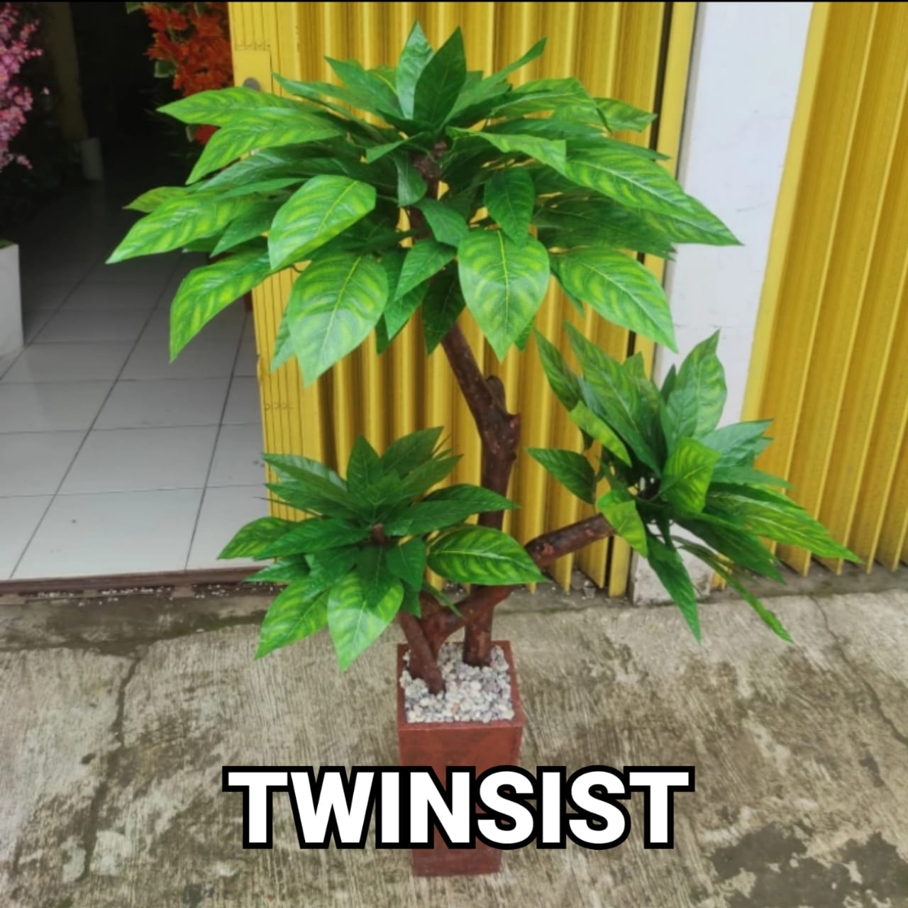 TERMURAH Pohon Bonsai Luky Hijau Plastik Artificial Palsu Tinggi 120 cm ...
