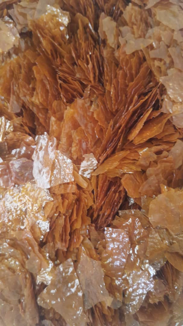 Sherllac / Sirlak / Shellac Plitur Emping Premium Asli India | Lazada ...