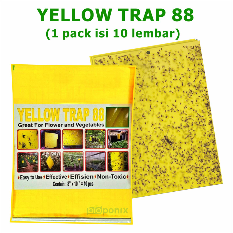 Yellow Trap (1 pack = 10 lembar) | Lazada Indonesia