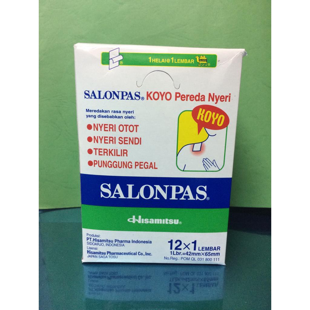 salonpas koyo isi 10x12 lembar per box | Lazada Indonesia