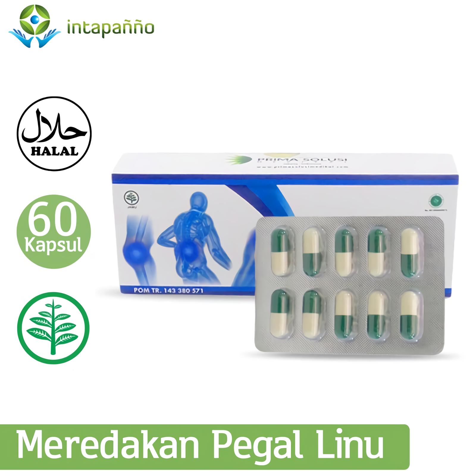 INTAPANNO Forsendi Obat Herbal Nyeri Sendi / Pegal Linu 60 Kapsul Jamu ...