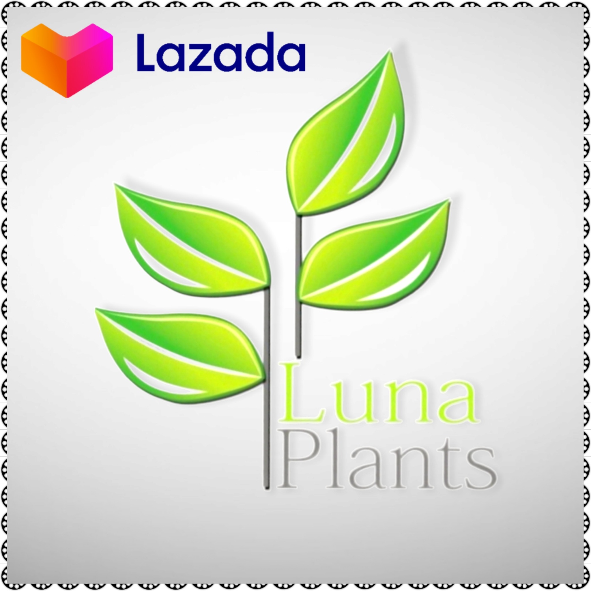 Toko Online Resmi Luna plants | Lazada.co.id