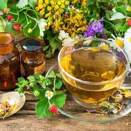 Azure Deer Toko resmi di Indonesia, Online Shop 05 2025