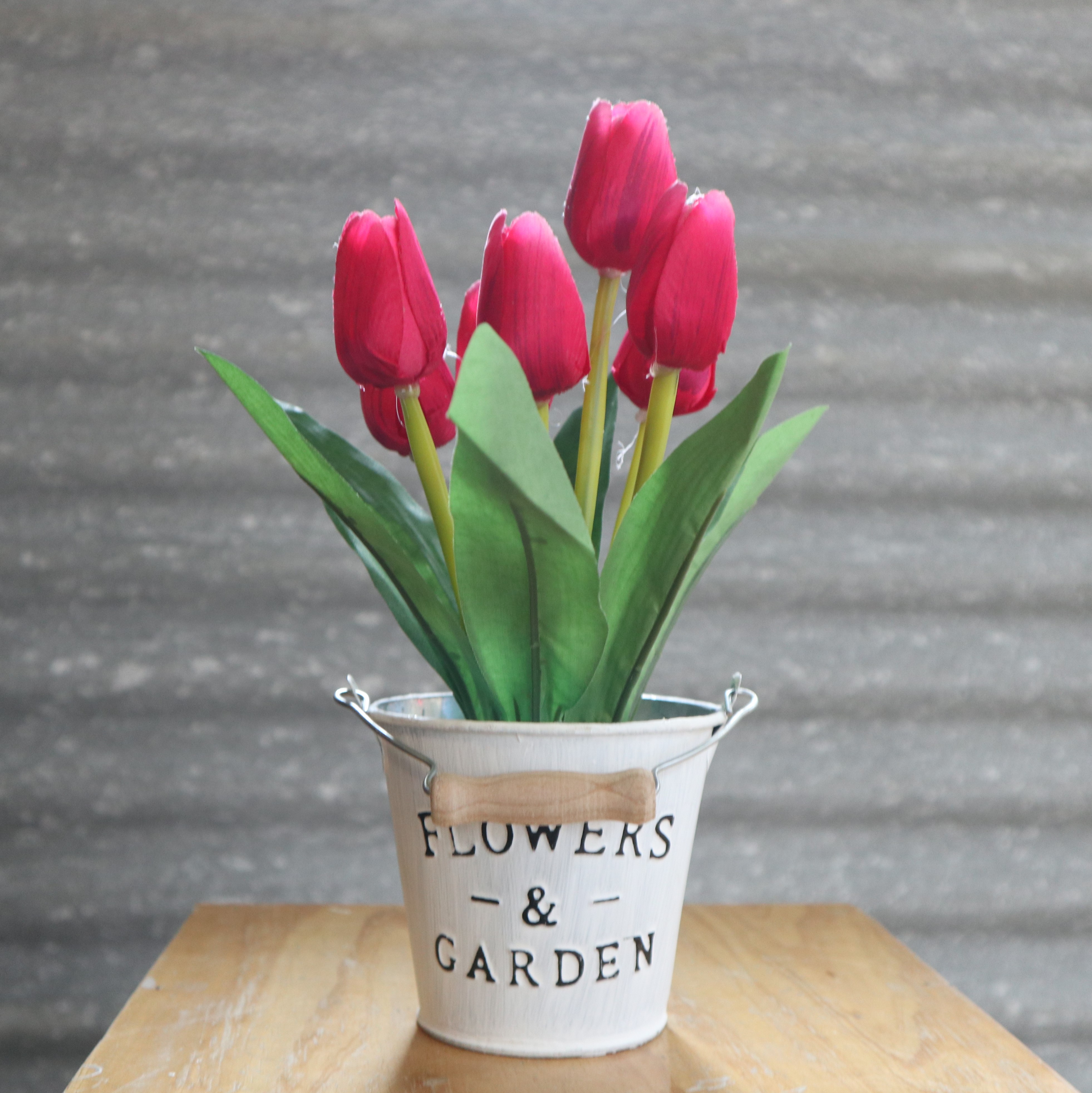 20+ Gambar Bunga Tulip Layu yang Mantul! - Informasi Seputar Tanaman Hias