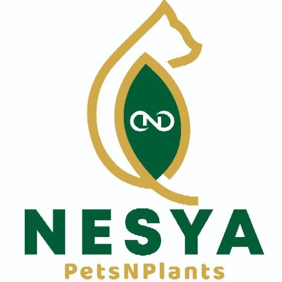 Nesya PetsNPlants Toko resmi di Indonesia, Online Shop 04 2025