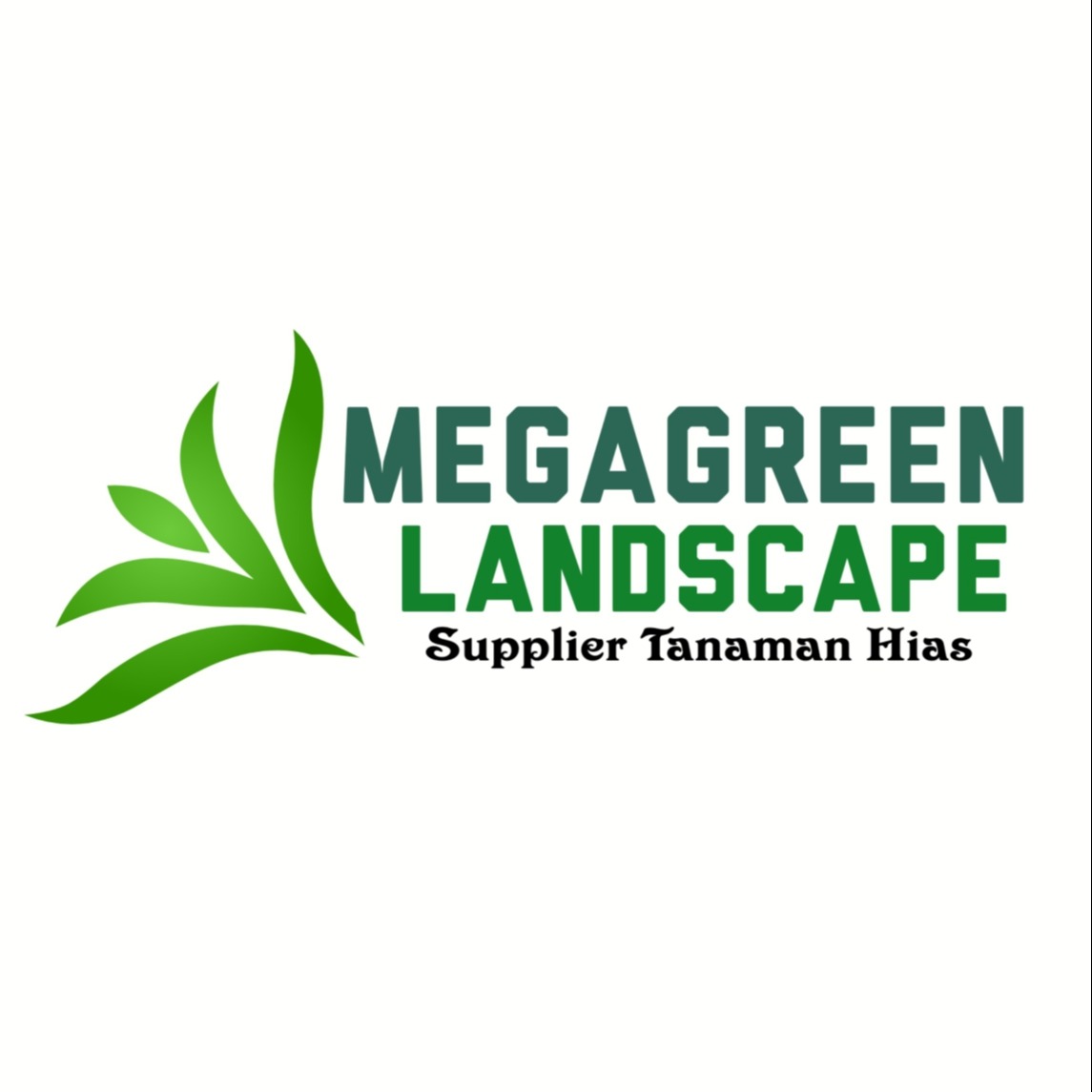 Toko Online Resmi Megagreen Landscape | Lazada.co.id