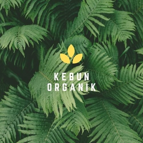 Toko Resmi Kebun Organik Store Online | Lazada.co.id