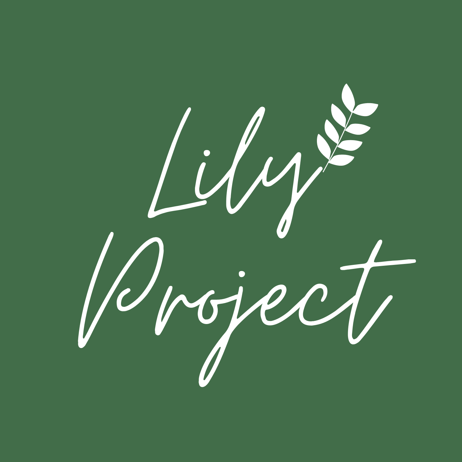 Toko Online Resmi LILY PROJECT | Lazada.co.id
