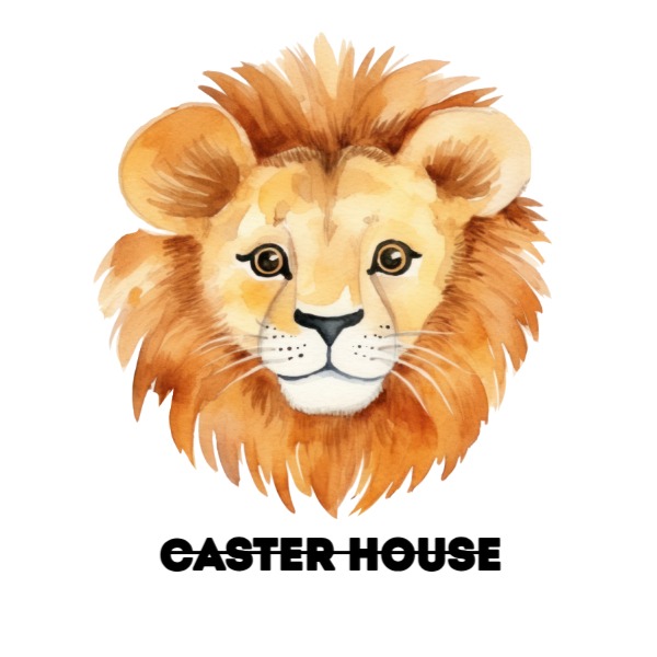 Caster House Indonesia Toko Resmi Online | Beli Sekarang di Lazada