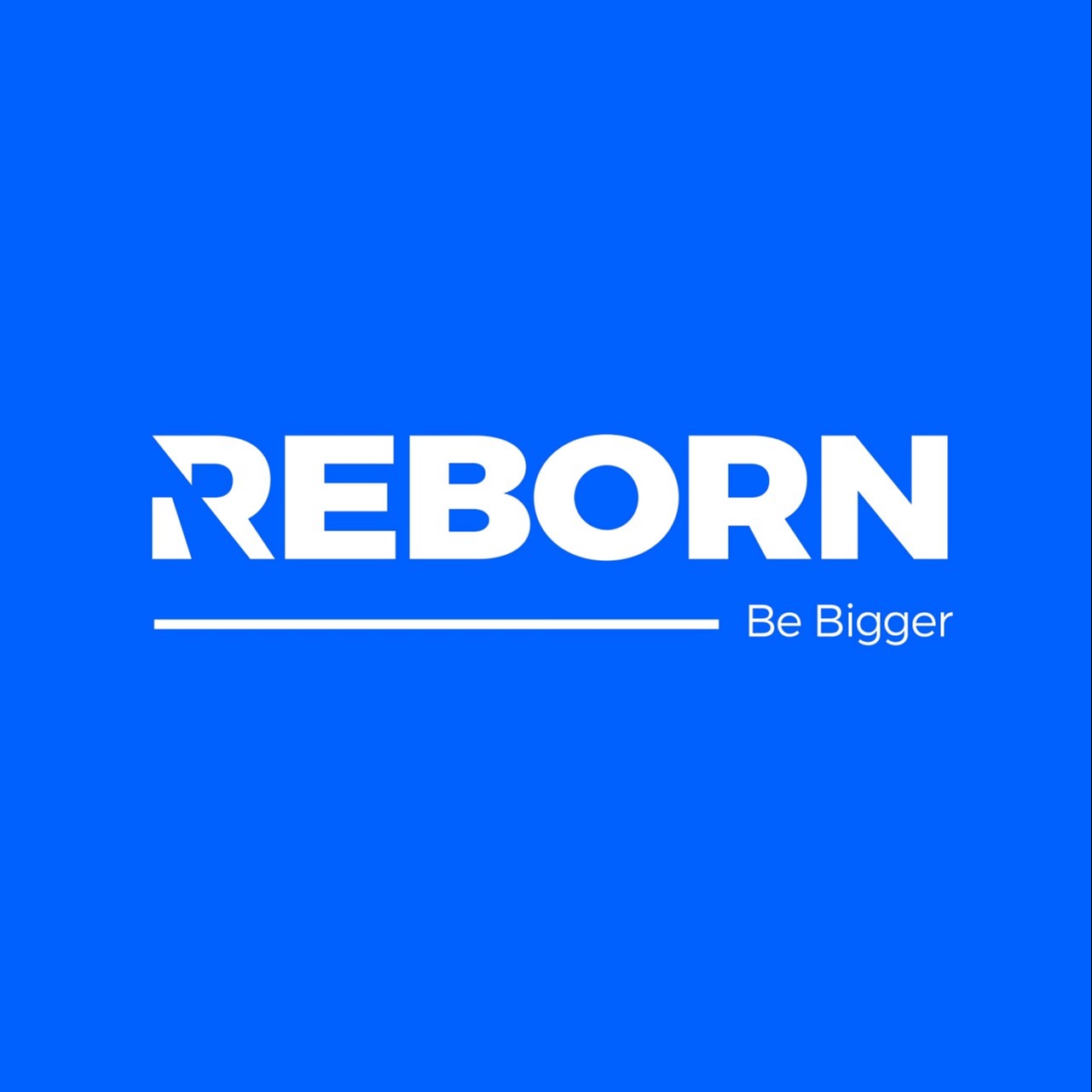 Toko Resmi Reborn Tech Online | Lazada.co.id