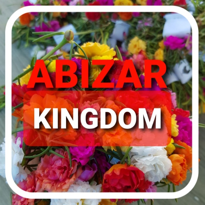 Toko Resmi ABIZAR Kingdom Online | Lazada.co.id