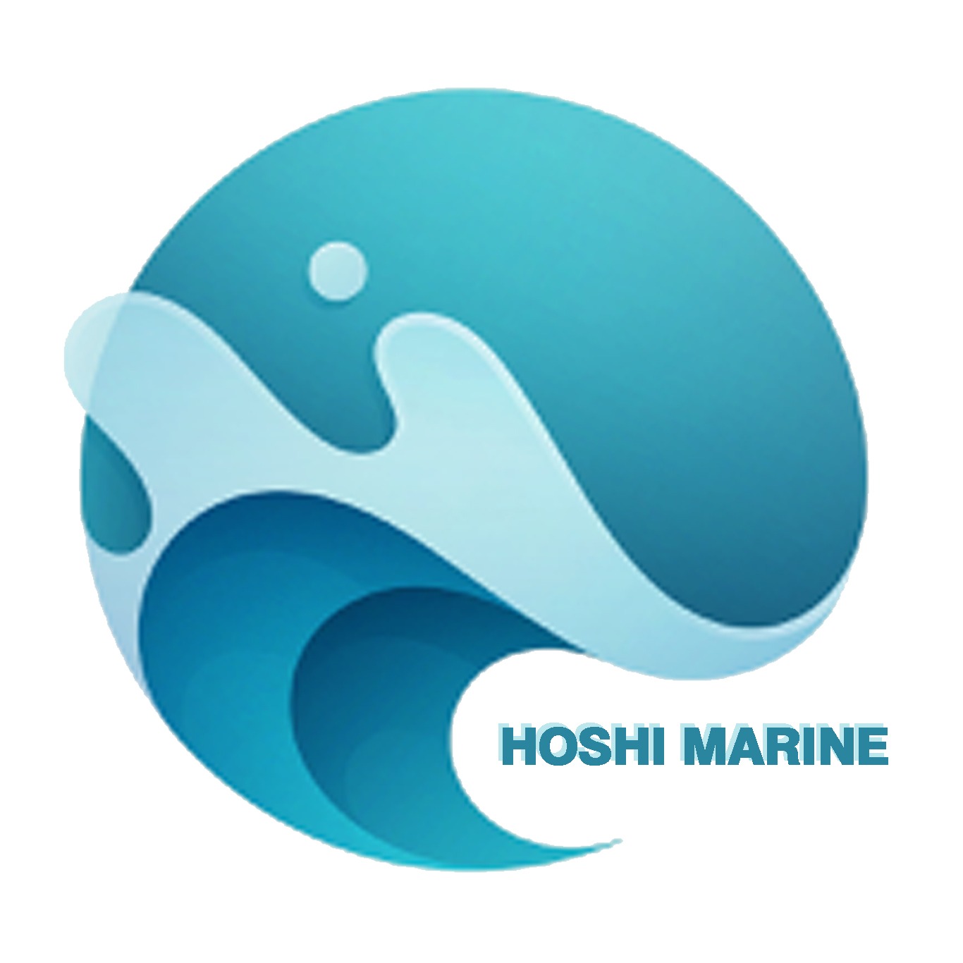 Shop online with Hoshi Marine now! Visit Hoshi Marine on Lazada.