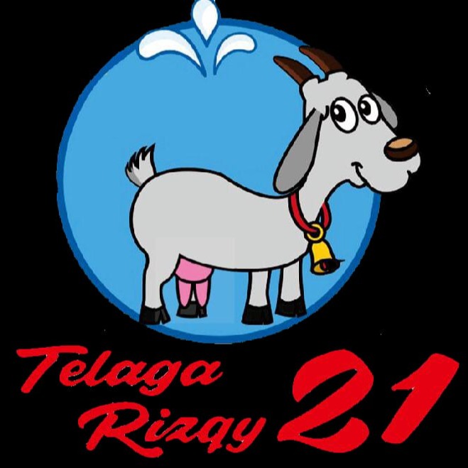 Telaga Rizqy Store Toko resmi di Indonesia, Online Shop 02 2025
